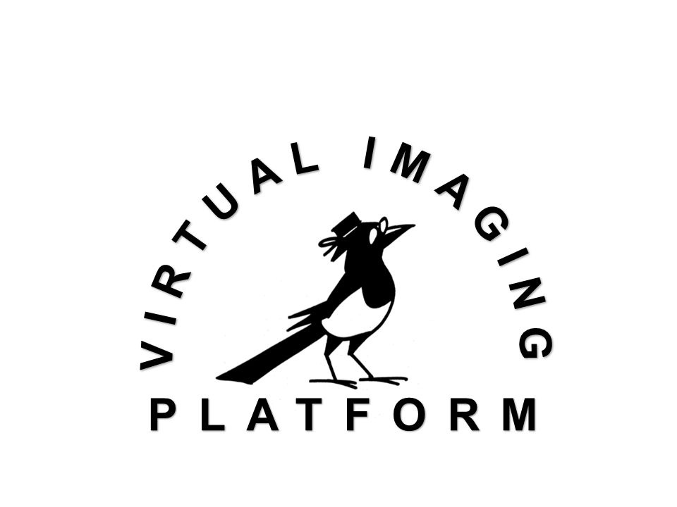 Virtual Imaging Platform (VIP) | CREATIS